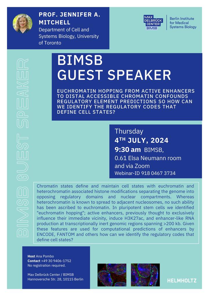 Jennifer A. Mitchell: Euchromatin hopping from active enhancers to distal accessible chromatin ...