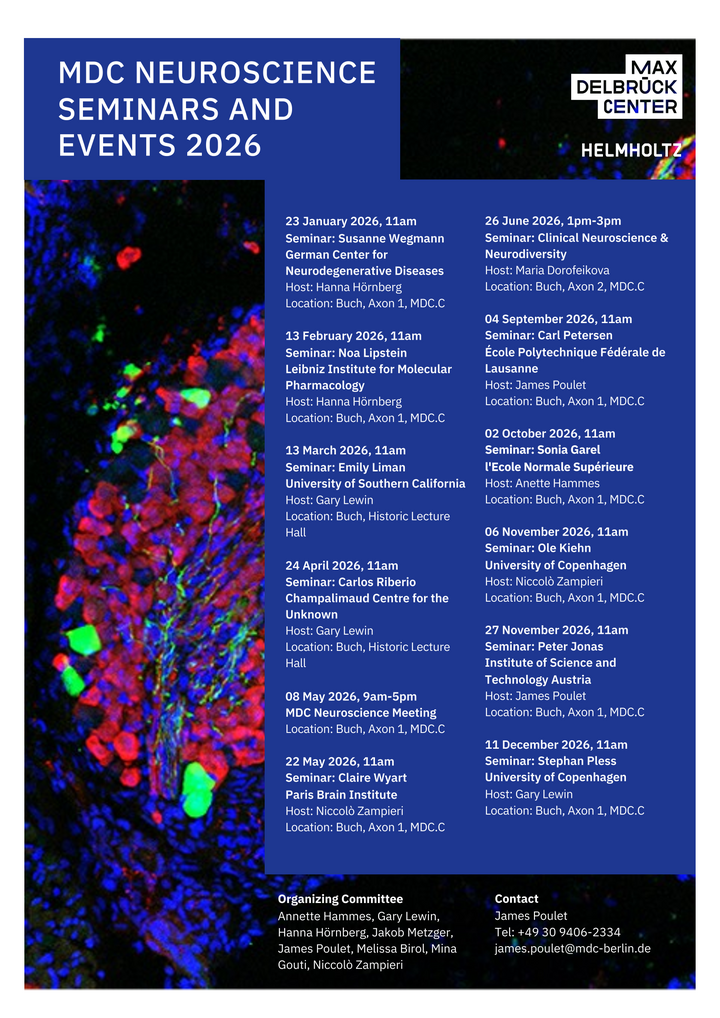 MDC Neuroscience Seminar | Max Delbrück Center