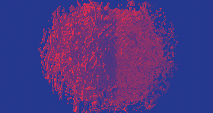 Welcoming Ceremony Prof. Maike Sander & 30 Years of the MDC | Max ...