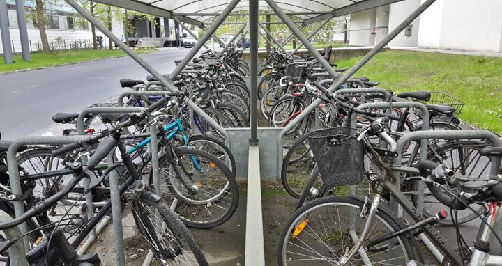 Campus in Bewegung | Max Delbrück Center