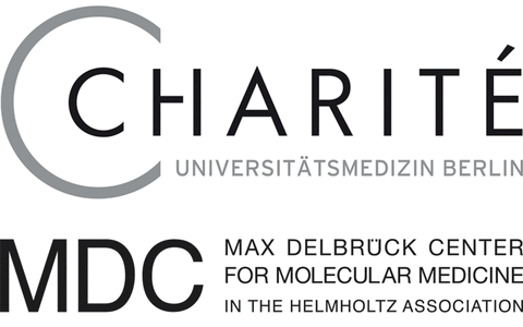 Klinische Forschung | Max-Delbrück-Centrum für Molekulare Medizin