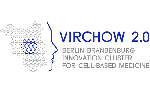 Call for cell-based medicine project ideas | Max Delbrück Center