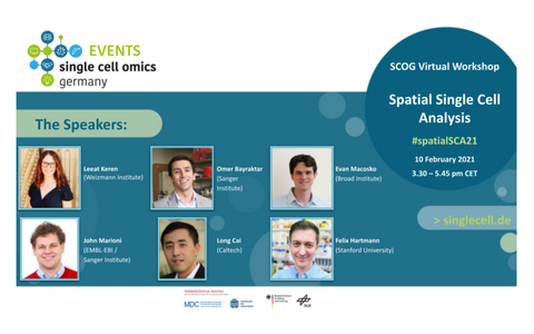 📺 Analyzing single cells in space | Max Delbrück Center