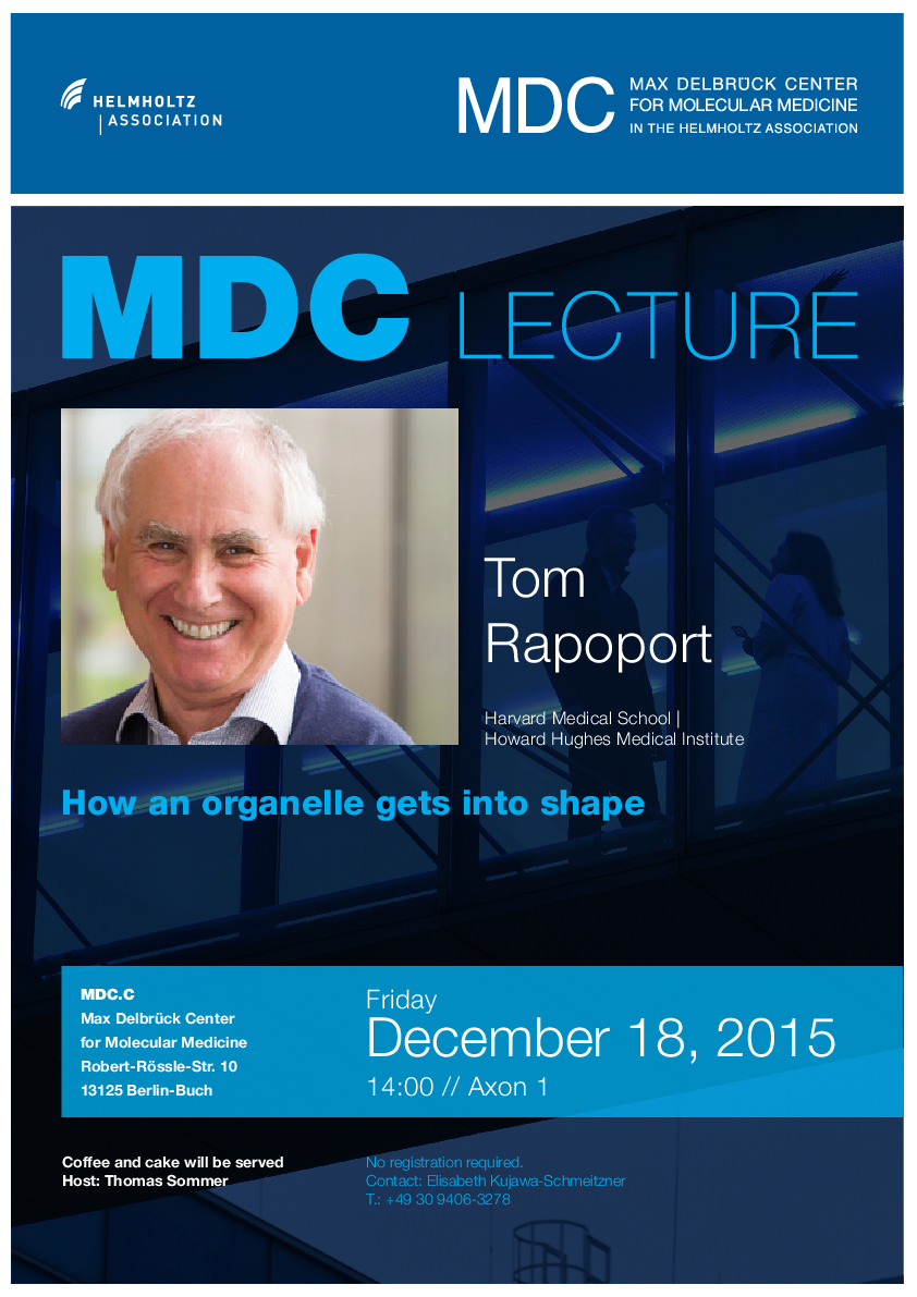 How an organelle gets into shape (Tom Rapoport) | Max Delbrück Center