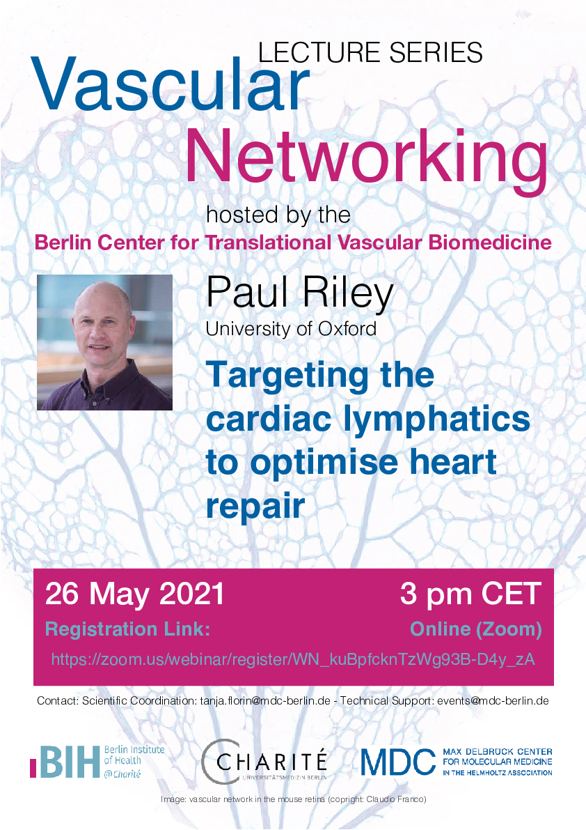 Vascular Networking: Paul Riley | Max Delbrück Center