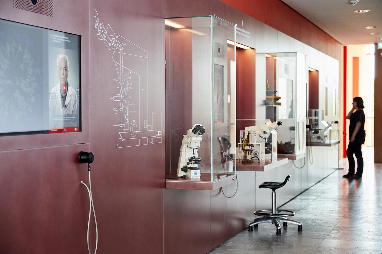 Mikroskopie-Ausstellung | Max Delbrück Center