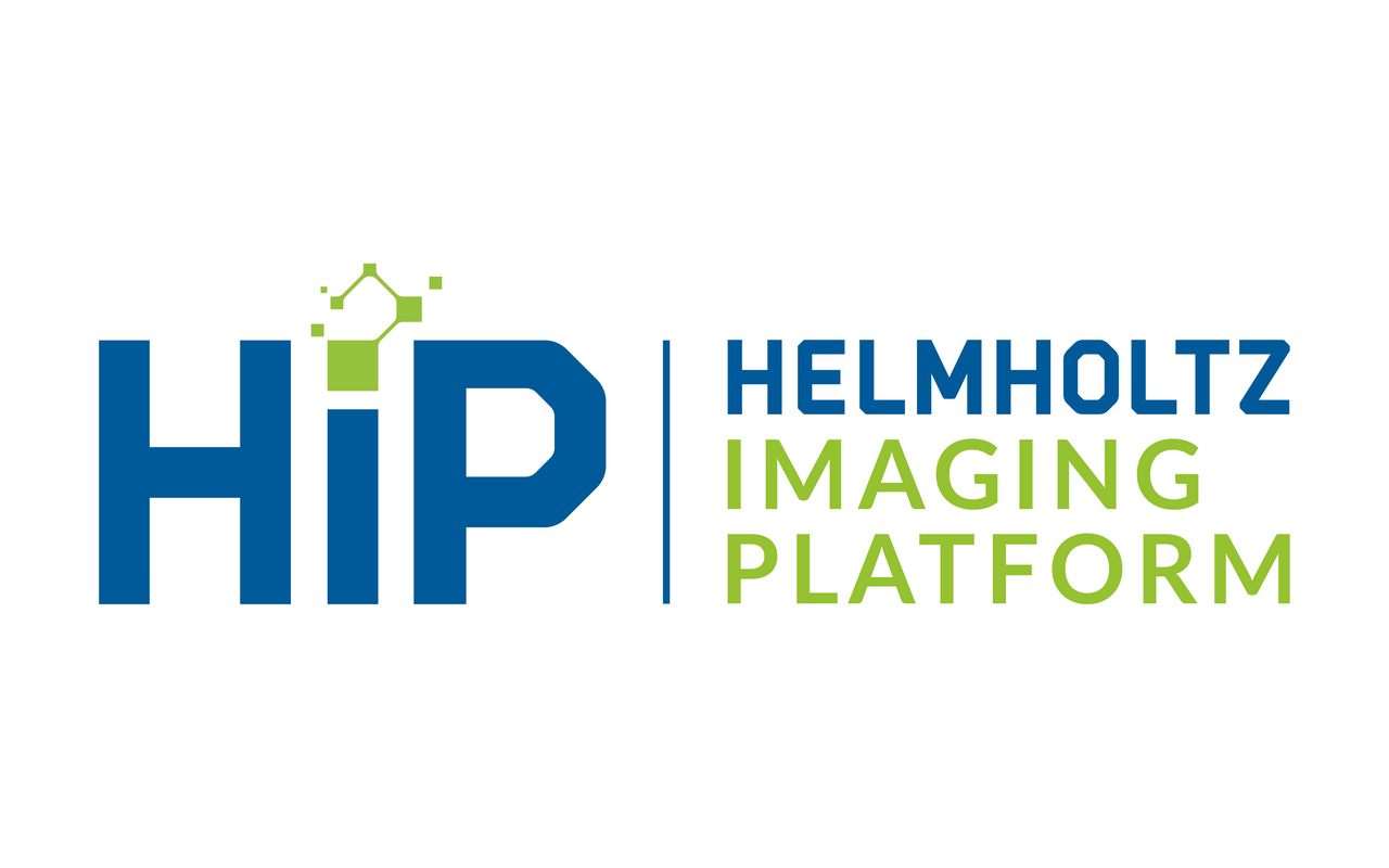 All of Helmholtz benefits from Helmholtz Imaging | Max Delbrück Center