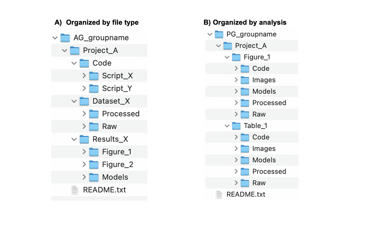 Organizing your data | Max Delbrück Center
