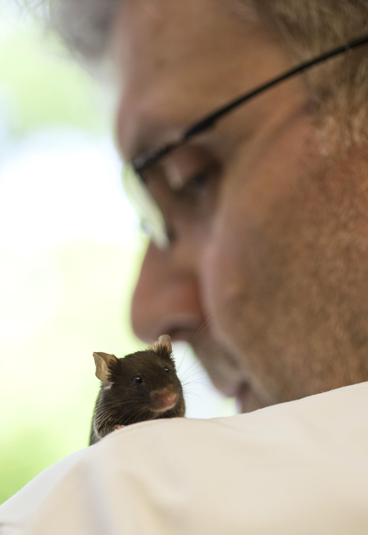 $7 million to advance cardiovascular research | Max Delbrück Center