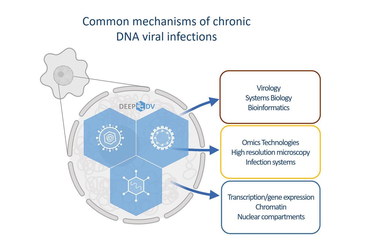 viruses going around