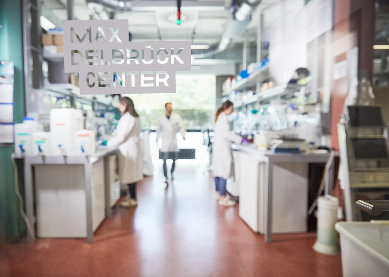 Images and logo | Max Delbrück Center