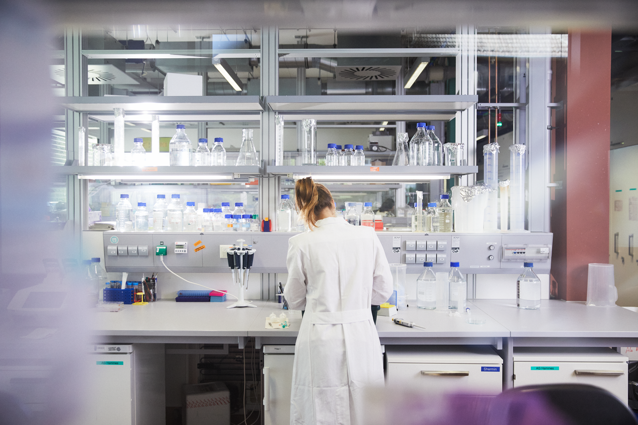 Images and logo | Max Delbrück Center