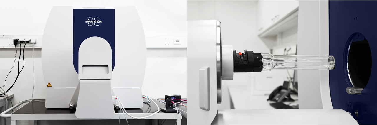 µComputed Tomography (µCT) | Max Delbrück Center