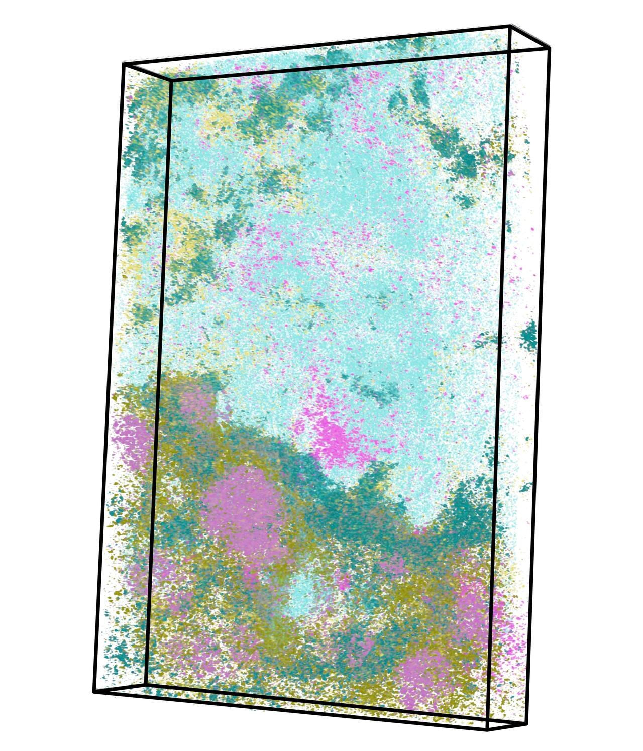 3D maps of diseased tissues at subcellular precision | Max Delbrück Center