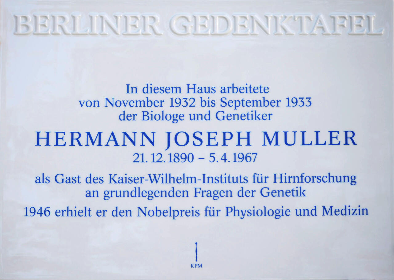 “Berlin Memorial Plaque” for American Geneticist Hermann Joseph Muller ...
