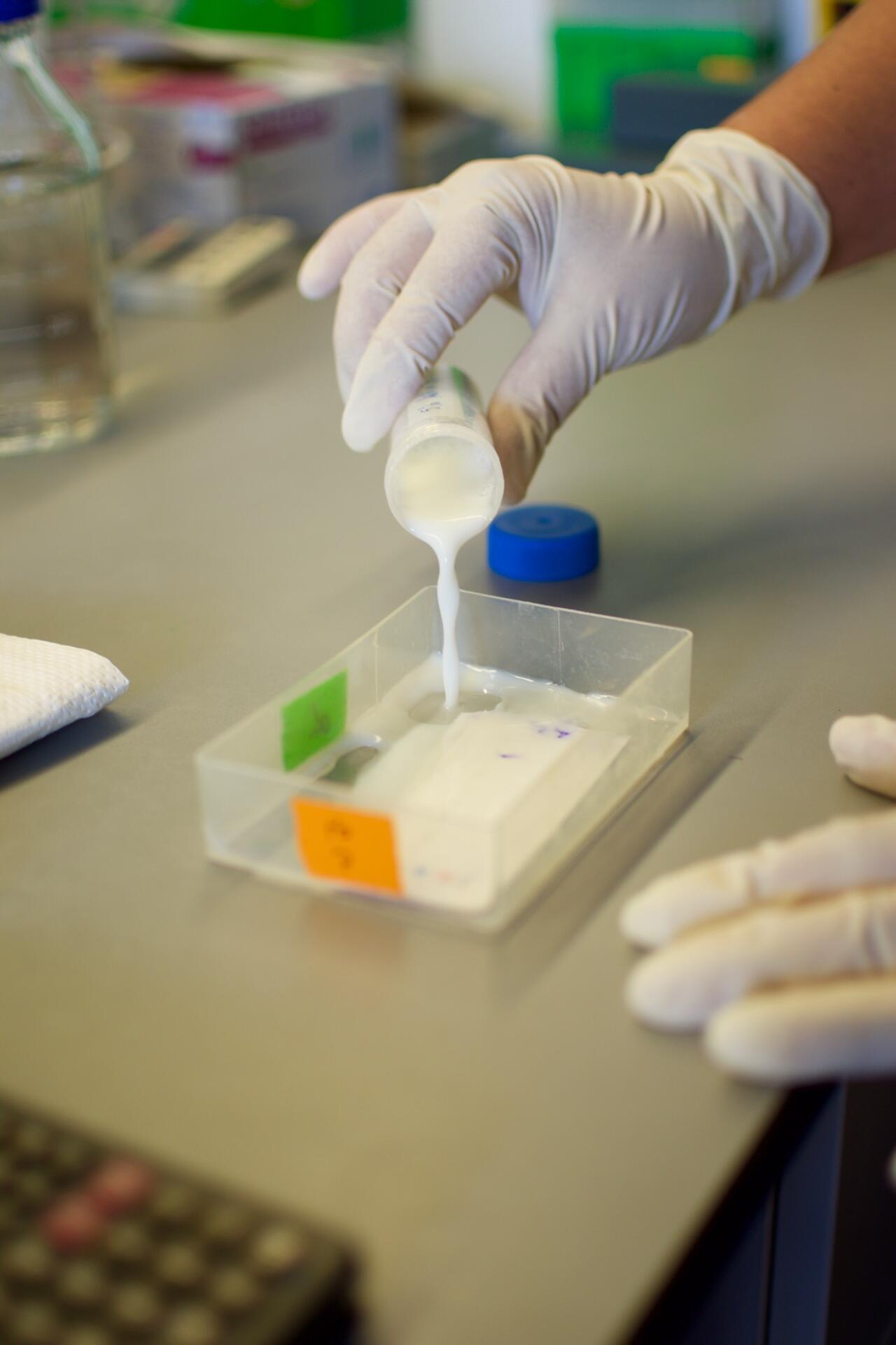 #LabHacks: Blocking sticky proteins with milk powder | Max Delbrück Center
