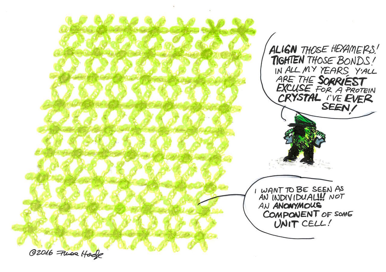 Protein Cartoon