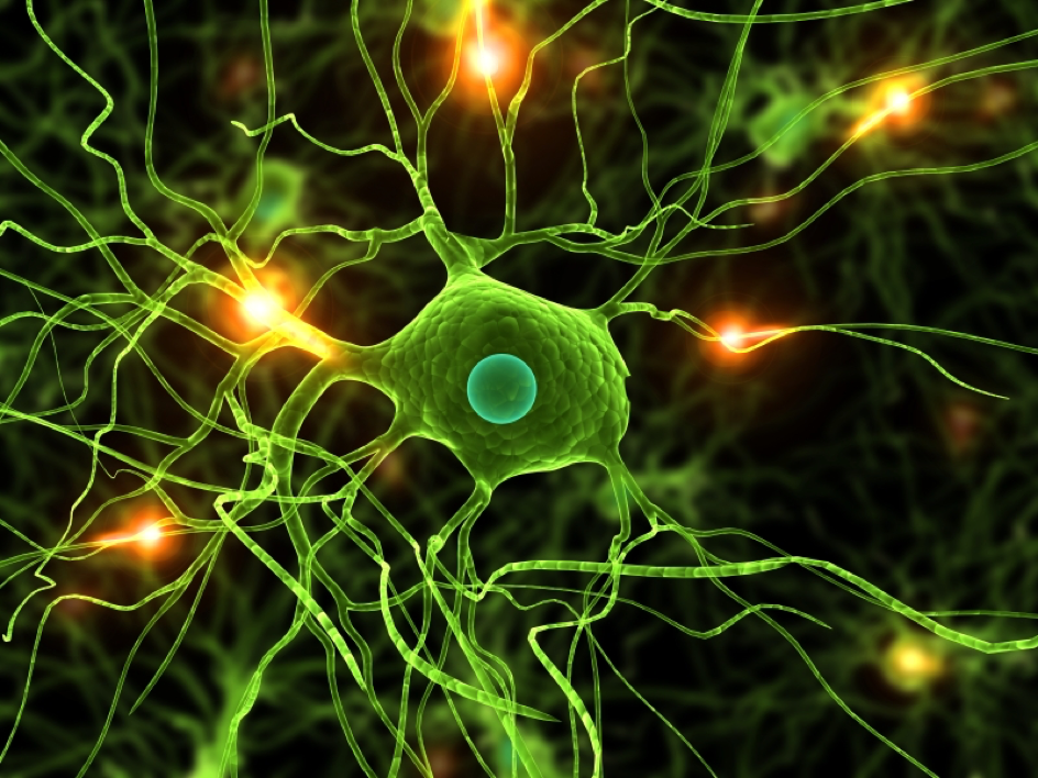 Microglia development follows a stepwise program to regulate brain ...