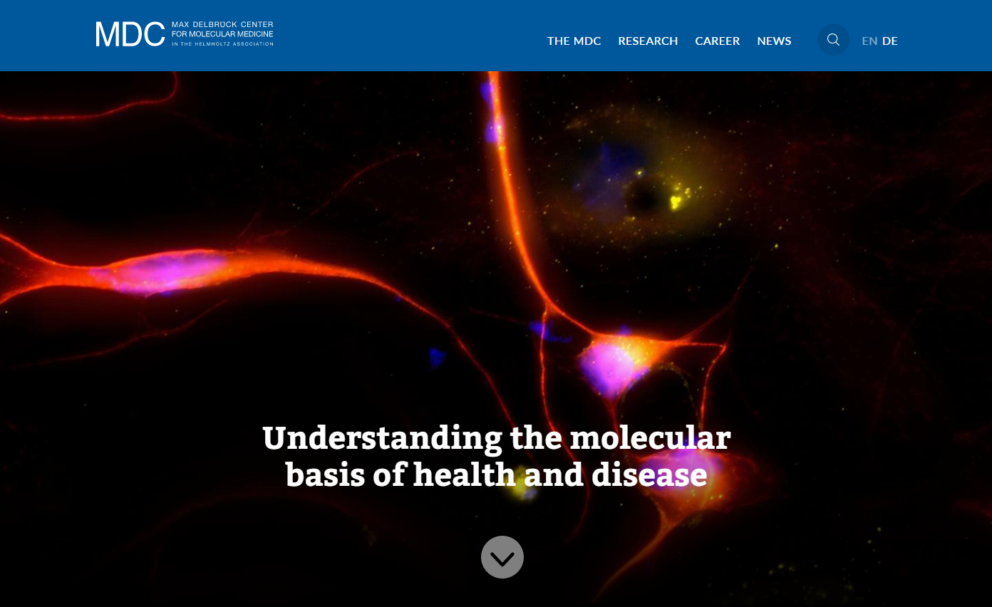 Die neue MDC-Webseite ist online! | Max-Delbrück-Centrum für Molekulare ...