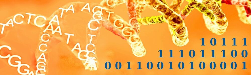 Ohler Lab | Max Delbrück Center