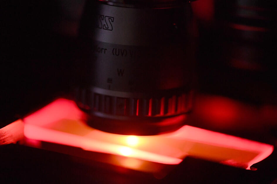 Advanced Light Microscopy & Image Analysis | Max Delbrück Center