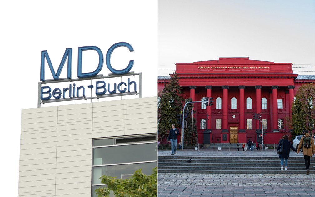 Austausch mit ukrainischen Wissenschaftlern | Max Delbrück Center