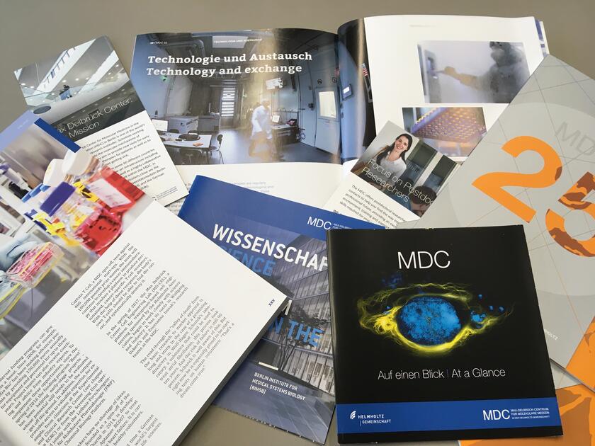 Broschüren und Flyer | Max Delbrück Center