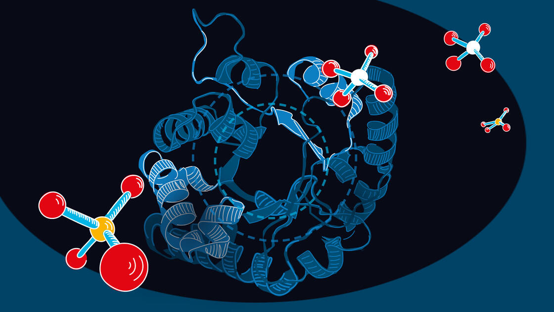 Long Night at the MDC: Science meets art | Max Delbrück Center