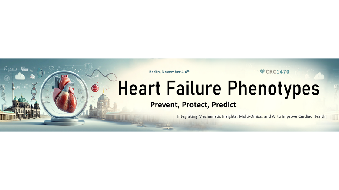 Heart Failure Phenotypes: Prevent, Protect, Predict | Max Delbrück Center