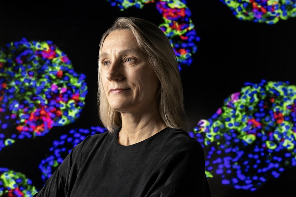 An der Spitze von Helmholtz Health: Maike Sander | Max Delbrück Center