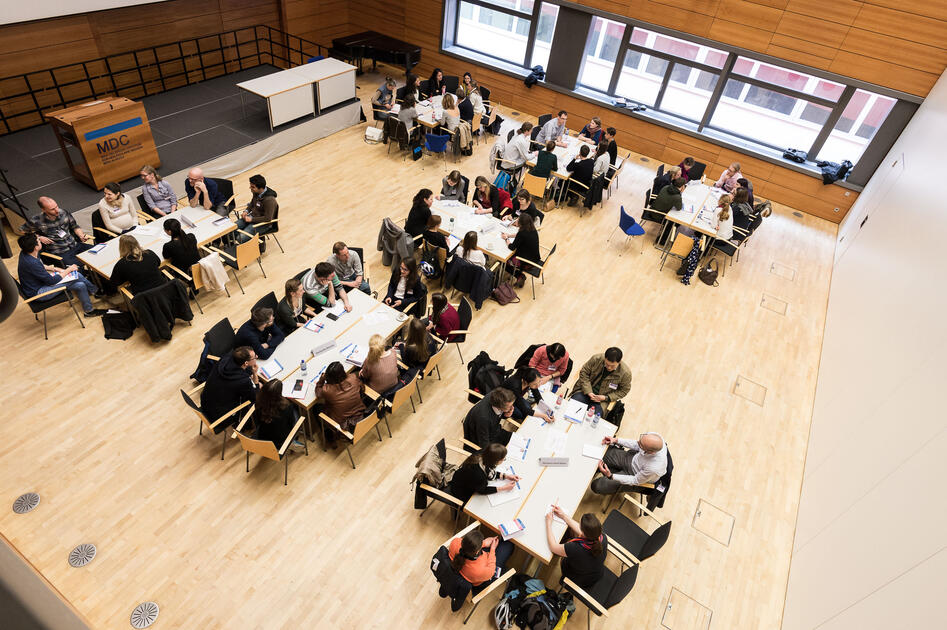 Postdoc – what next? | Max Delbrück Center